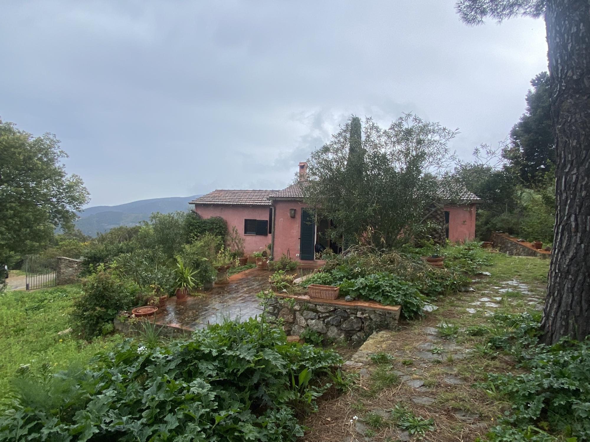SPADINO