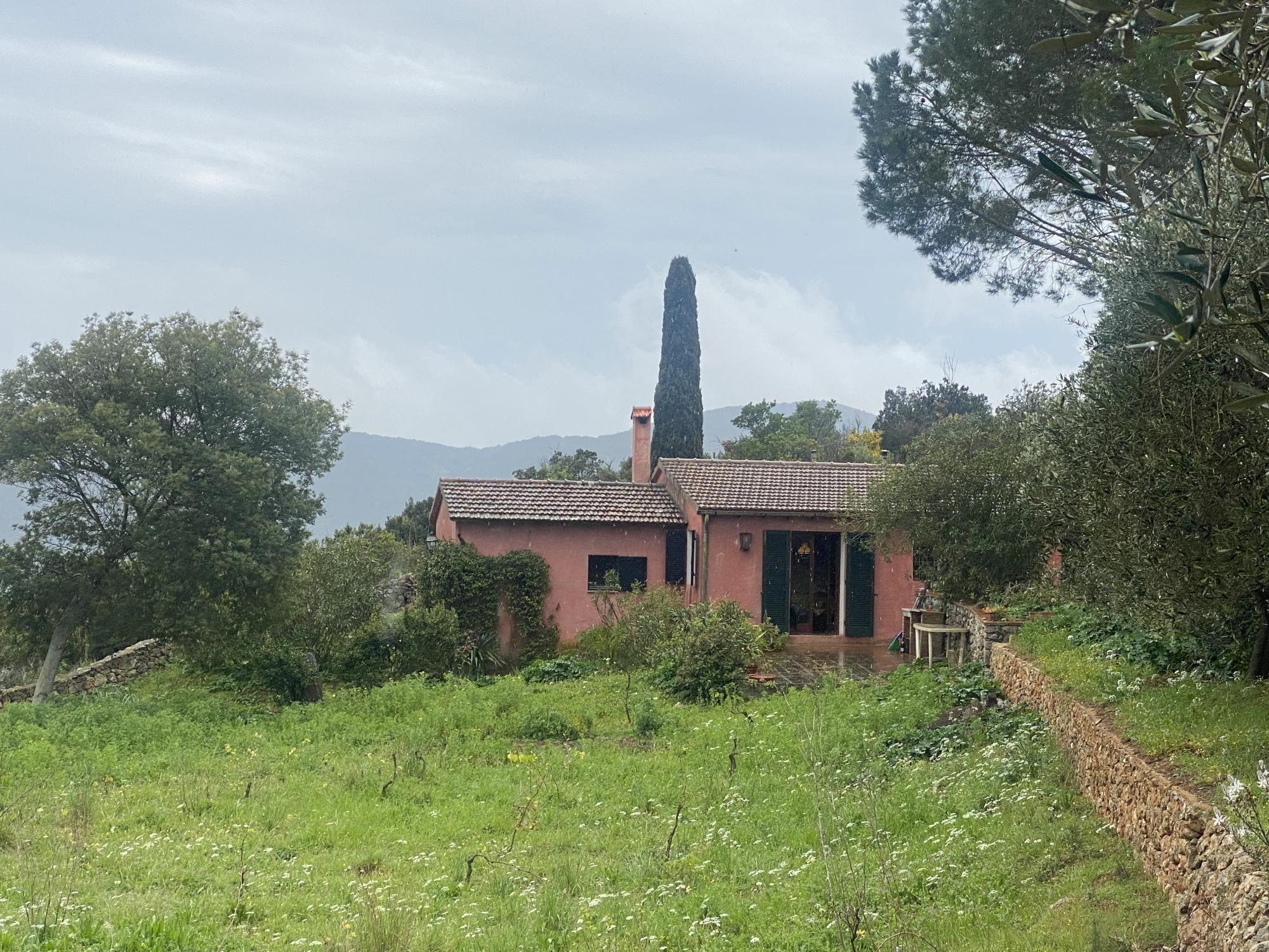 SPADINO